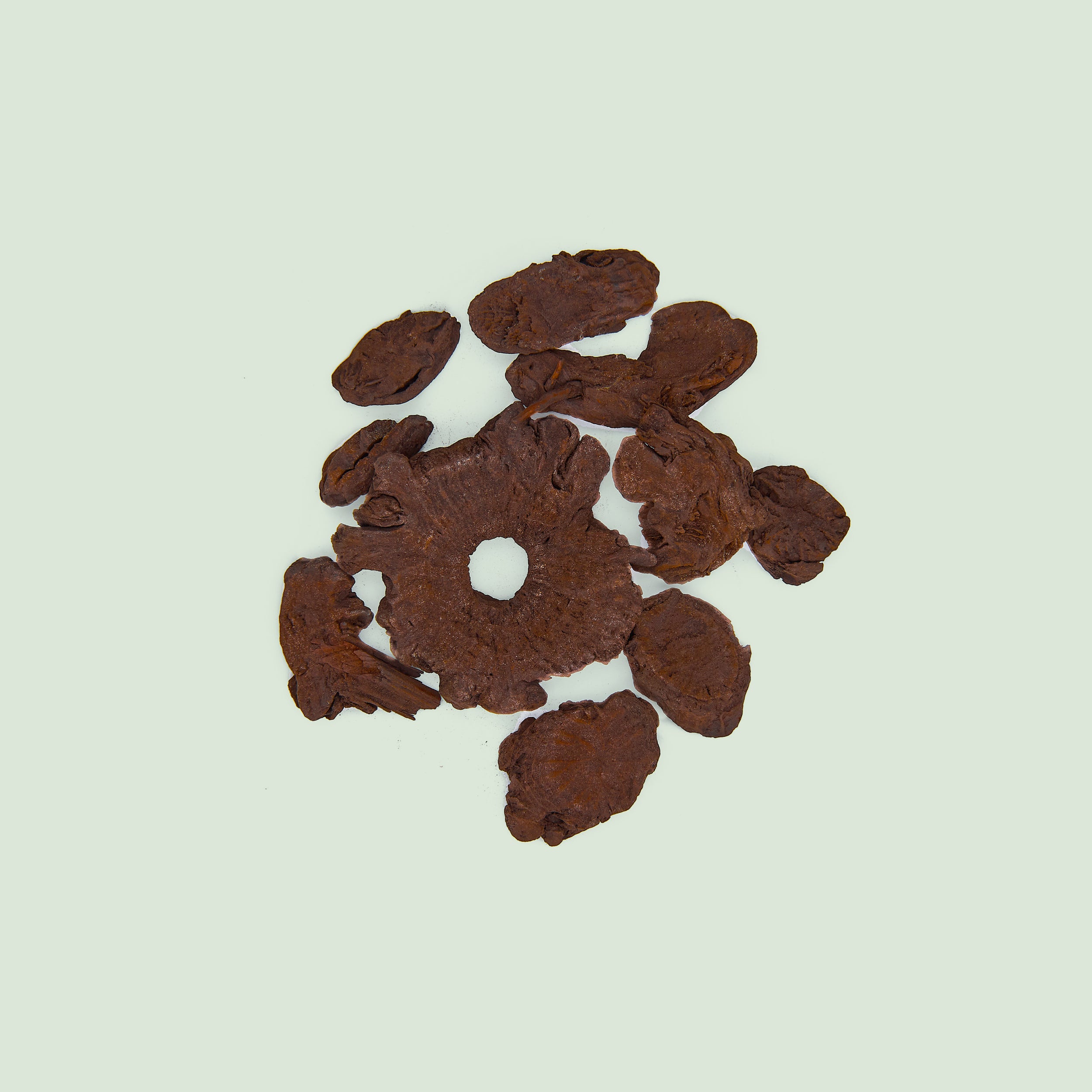 Sanguisorbae Radix (Di Yu/Wiesenknopfwurzel) – Green Harris