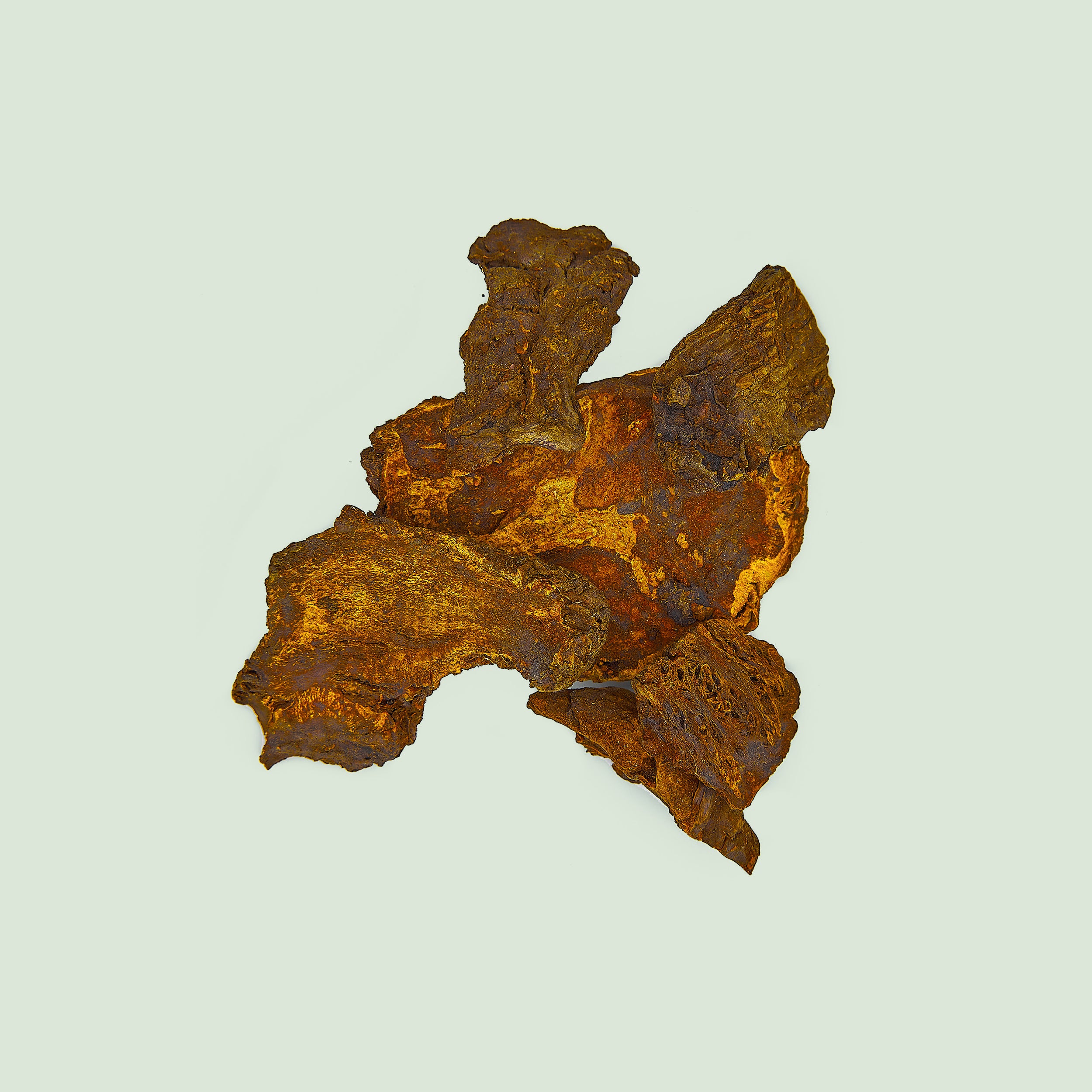 Rhei Radix (Da Huang/Rharbarberwurzel, chin.) – Green Harris