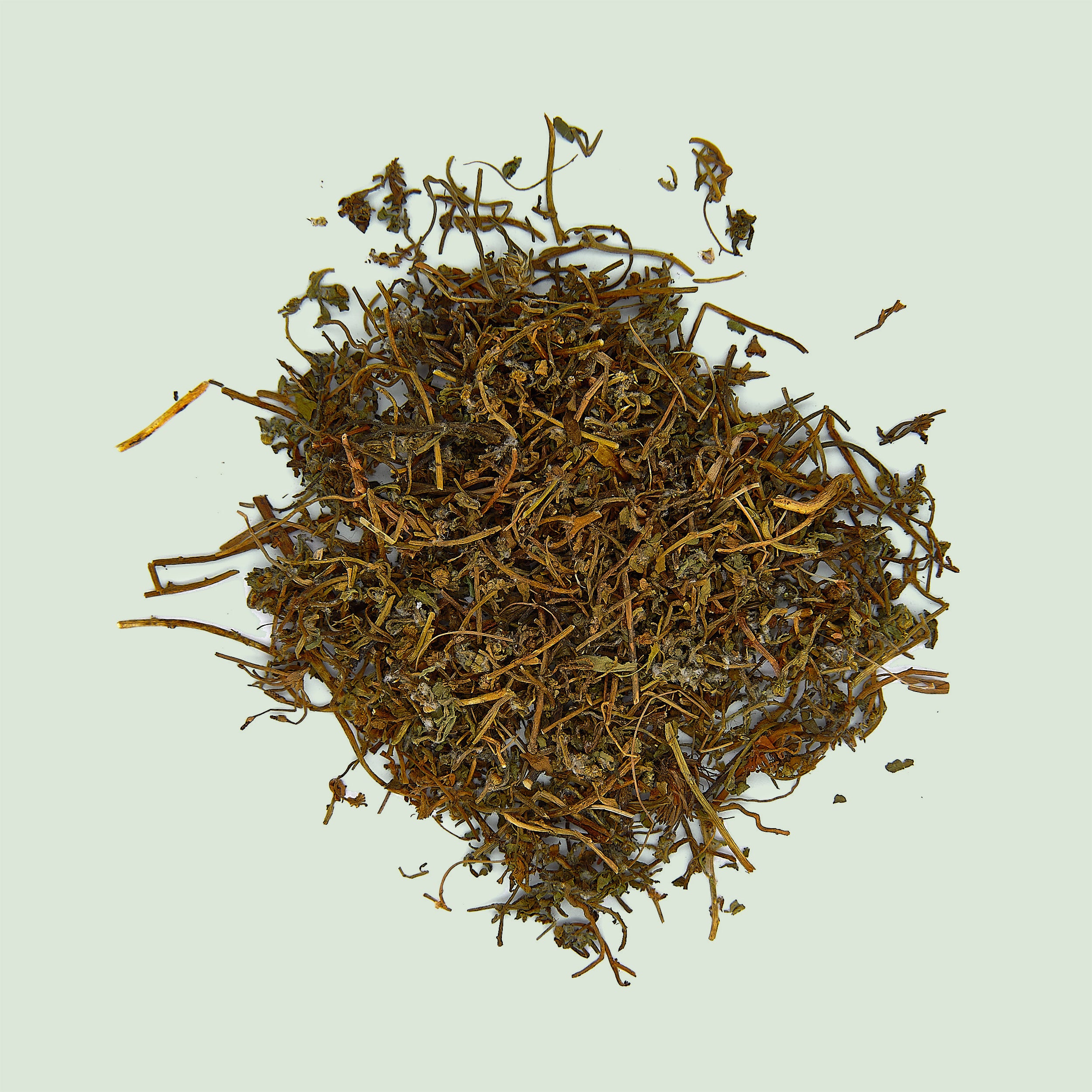 Centipedae Herba (E Bu Shi Cao/Centipedenkraut) – Green Harris