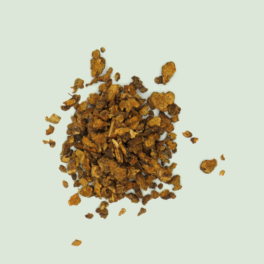 Atractylodis Rhizoma (Cang Zhu / Speichelkrautwurzel (lancea)) – Green ...